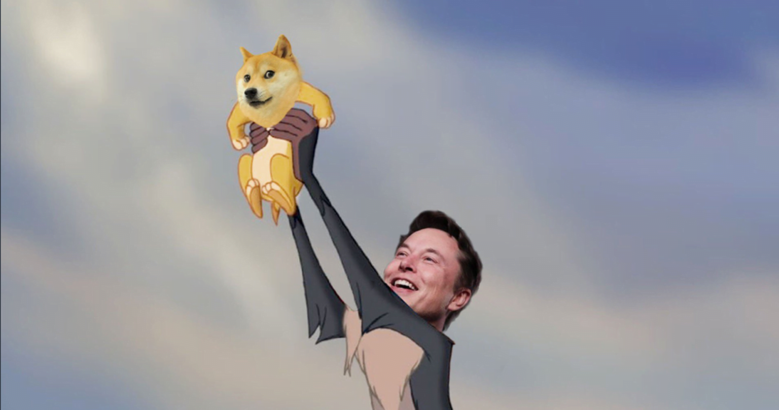 elon_musk_doge - Fotozik